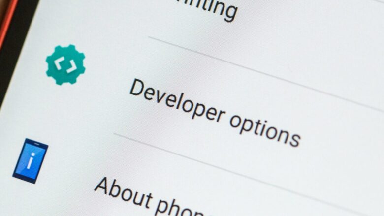 Settings Inside the Android Developer Options - 2024 Fully Explained