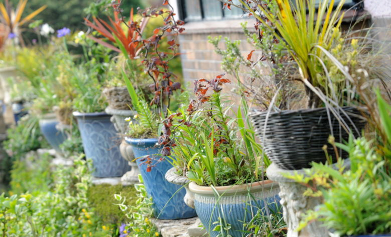 Grow Plants in Small Spaces with Concrete Planters - NorseCorp